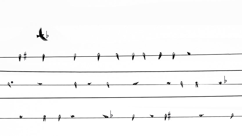 How to Read Ukulele Music Notation